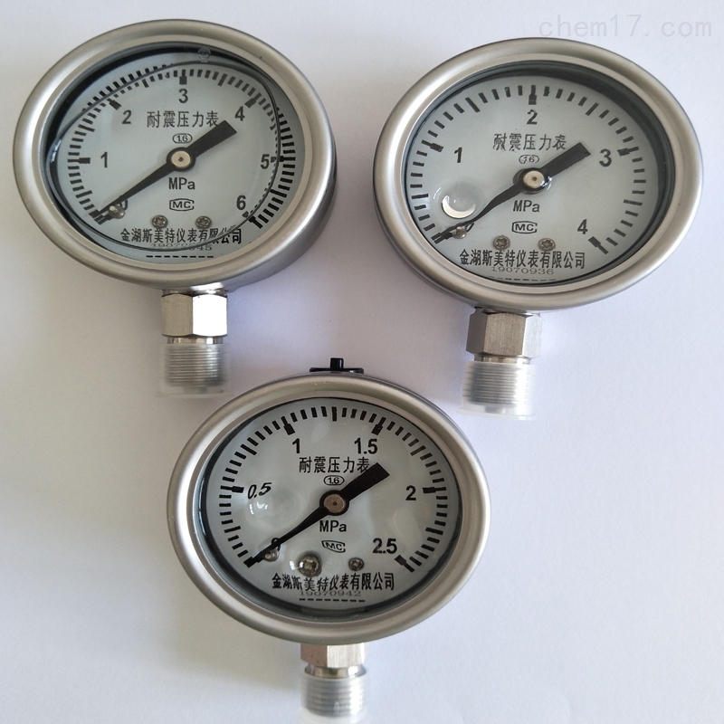 Y-60B-FZ不锈钢耐震压力表0-2.5MPA_Y-60B-FZ不锈钢压力表-金湖斯美特仪表有限公司